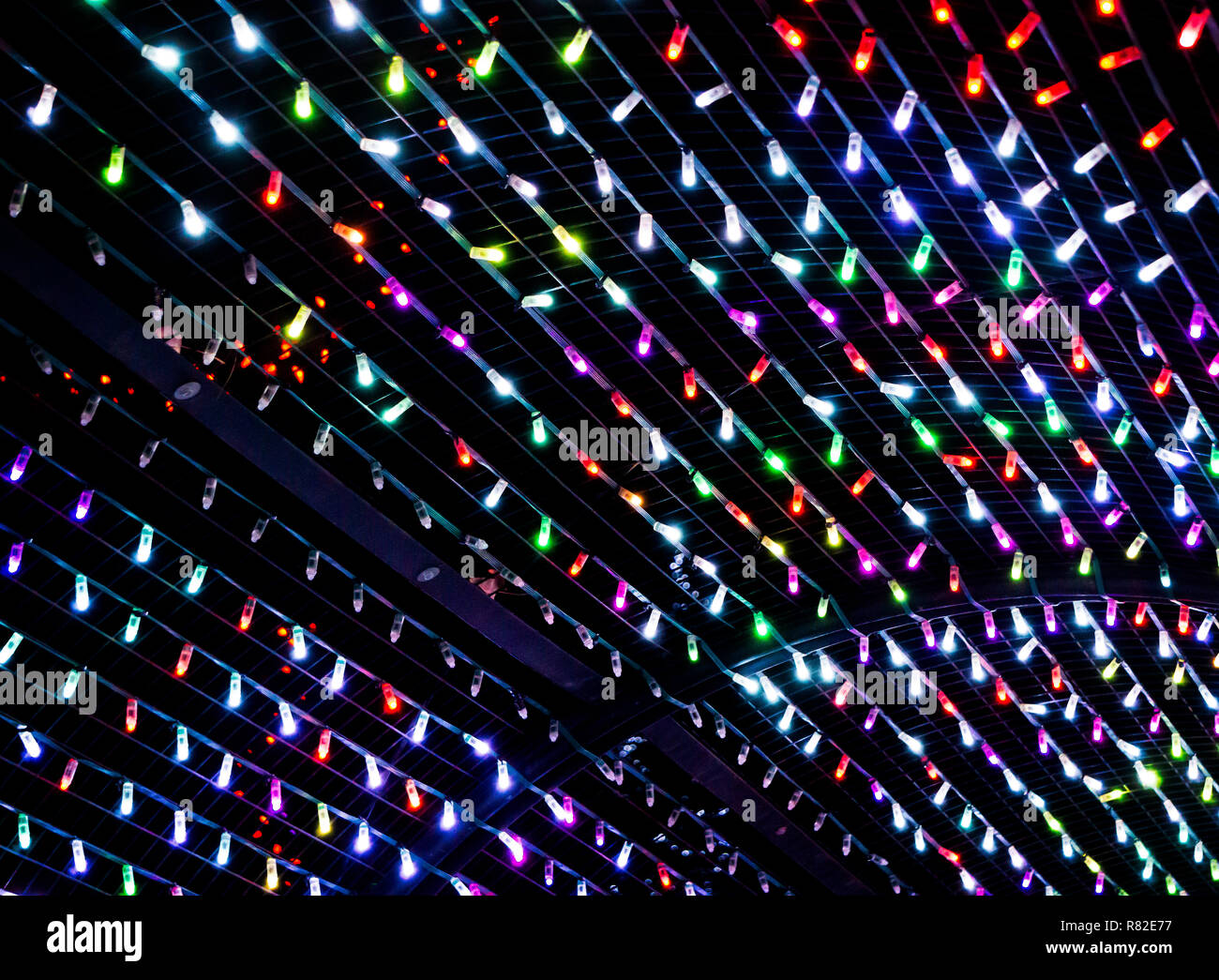 Calgary zoo lights hi-res stock photography and images - Alamy