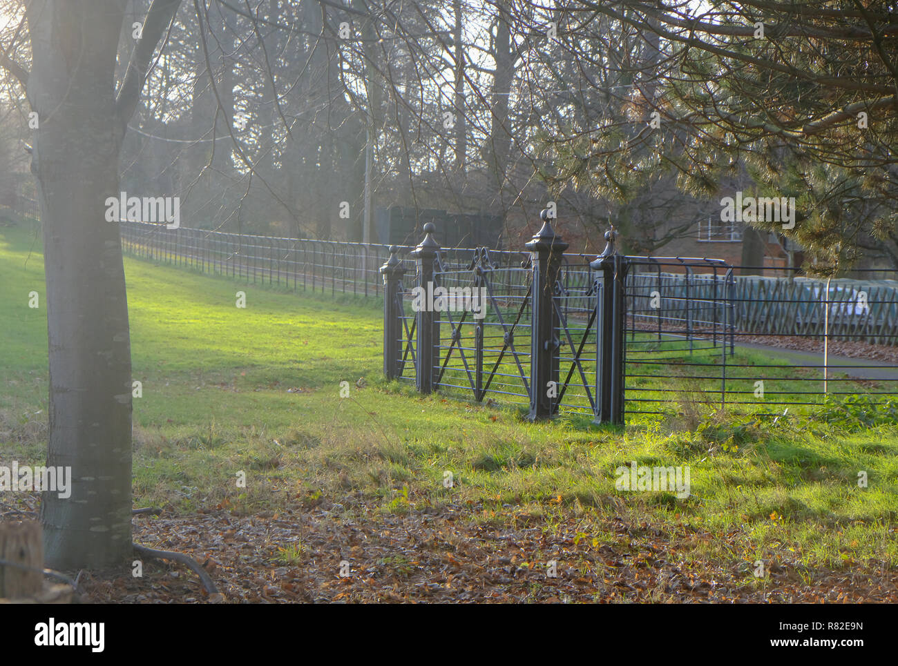 Low sun flares into the camera lens, old black wrought iron fence and ...