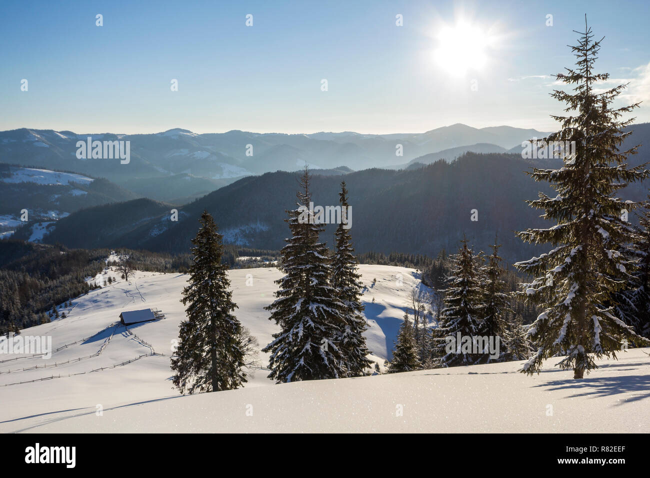 Winter Christmas landscape of mountain valley on frosty sunny day ...