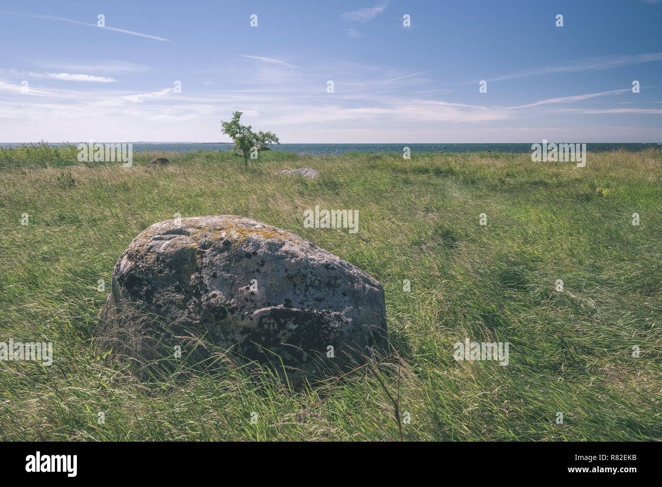 large granite rock single in nature environment isolated from other ...
