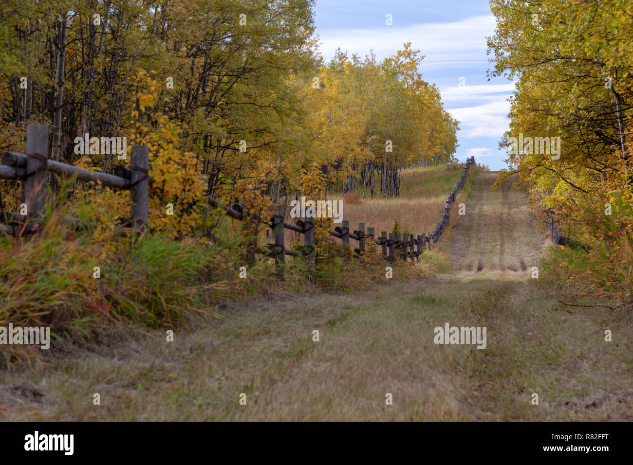 Country scene of an off-road cover with grass and lined with a wooden ...
