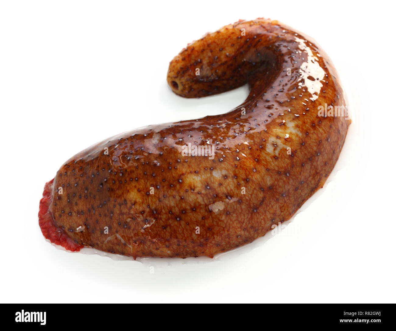 red sea cucumber ( aka namako ), Japanese food ingredient Stock Photo ...
