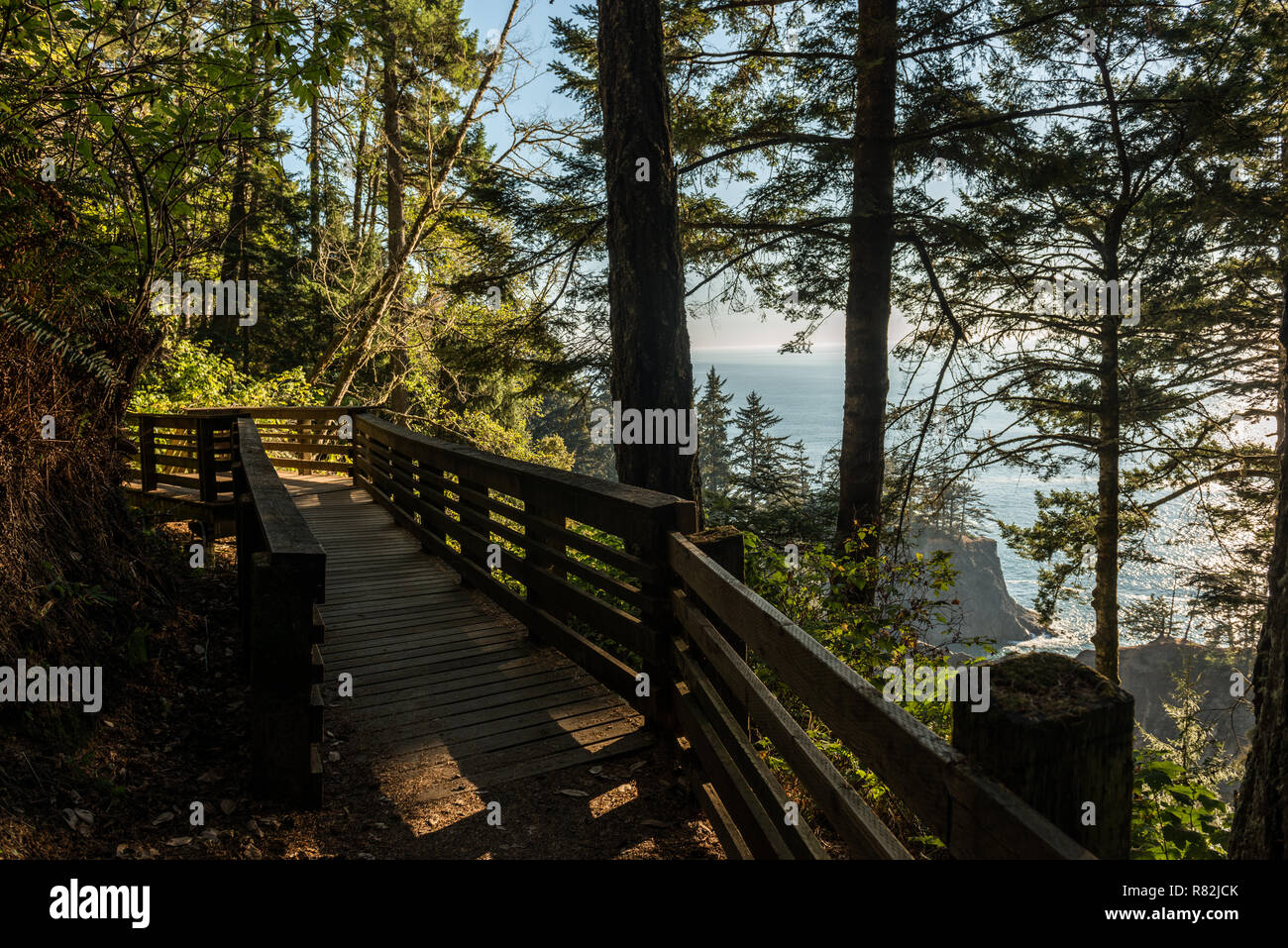 Path with wooden railing that gives access to an area of the southern ...