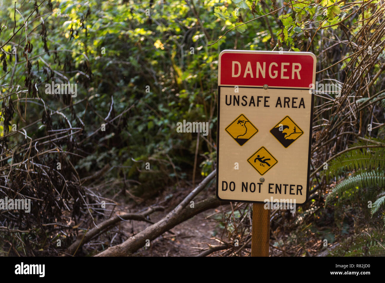 Branchbranches hi-res stock photography and images - Alamy