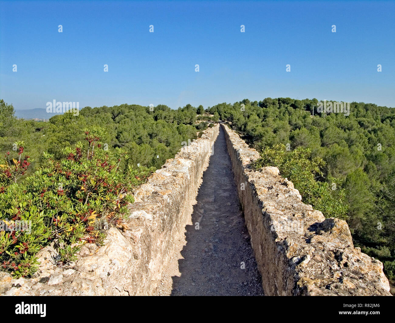 Hispania citerior hi-res stock photography and images - Alamy