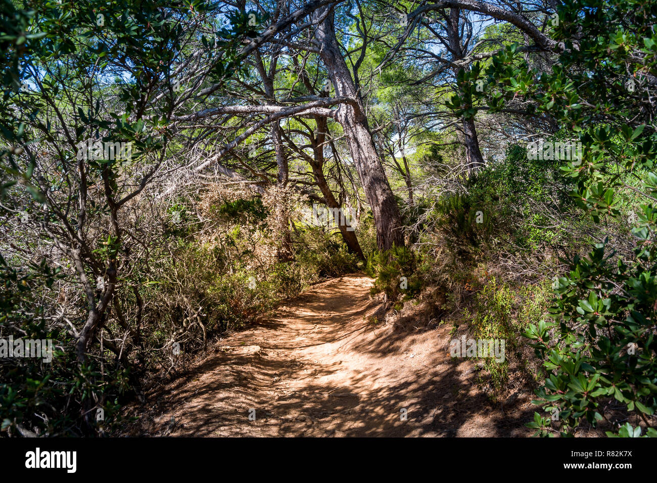 Beautiful paths hi-res stock photography and images - Alamy