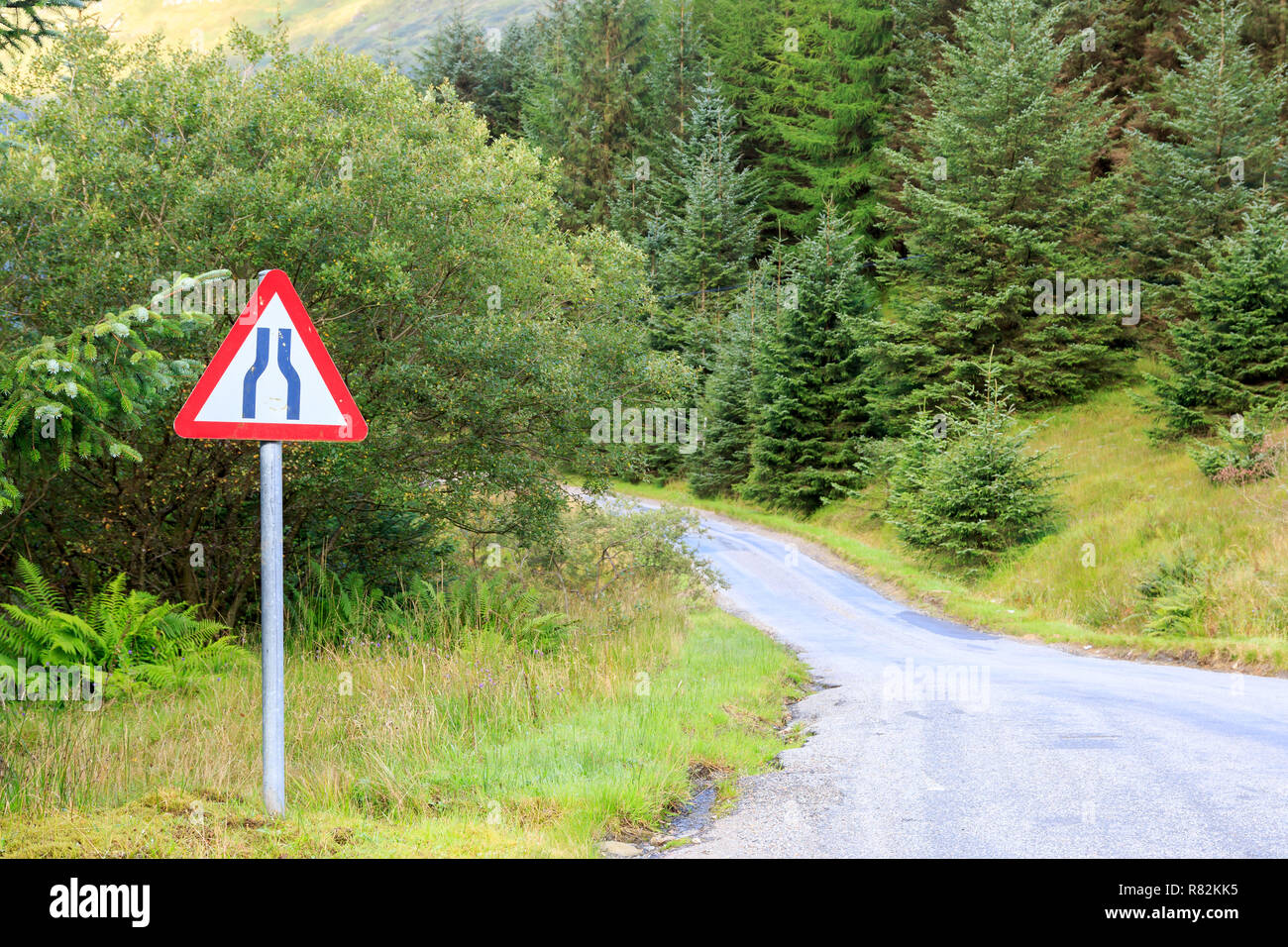 UK Triangle road sign warning of narrow road Stock Photo - Alamy