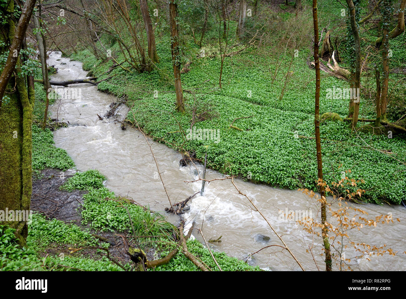Loamhole hi-res stock photography and images - Alamy