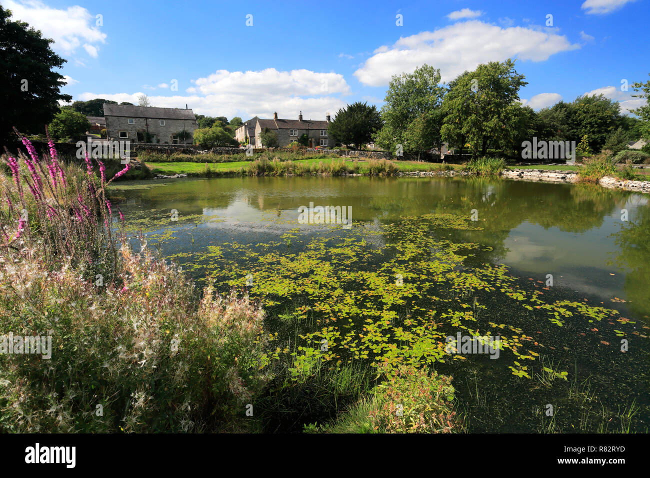 Summer view over Monyash village pond, Peak District National Park ...