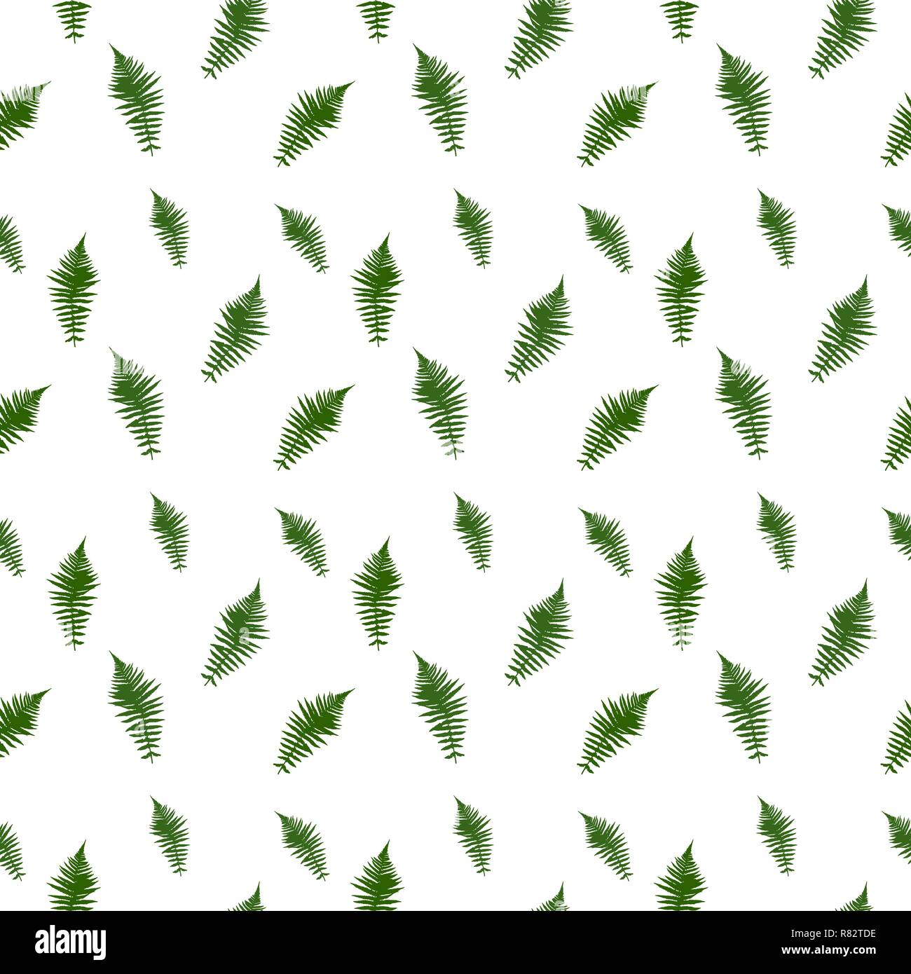 Colorful green twig fern. seamless pattern. Vector Illustration Stock ...
