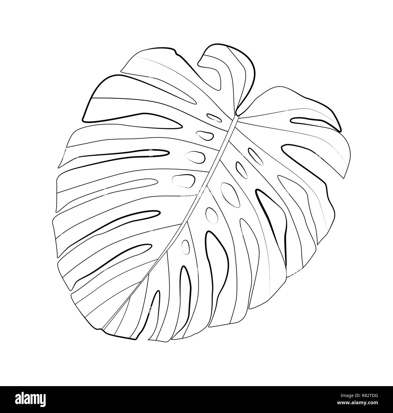 Abstract tropical monstera leaf. Vector Illustration Stock Vector Image ...