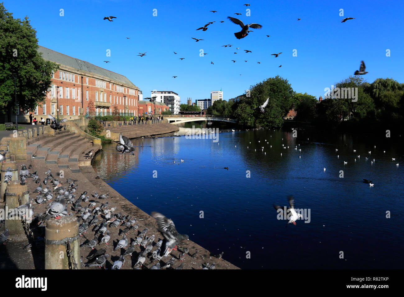Derby City Council offices on the banks of the river Derwent, Derby ...