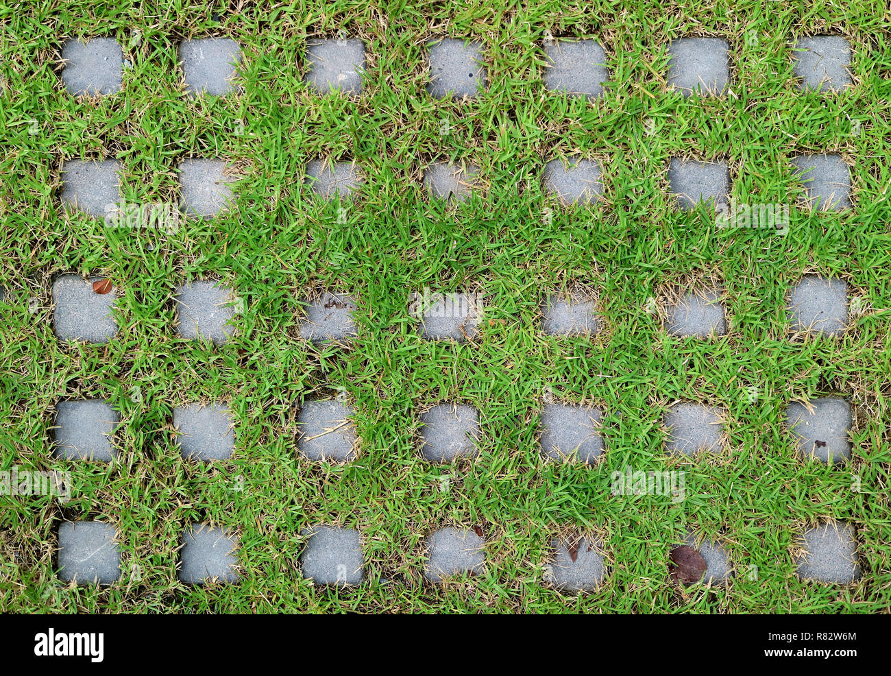 Top view of turf stone pavers covered with vibrant green grass Stock ...