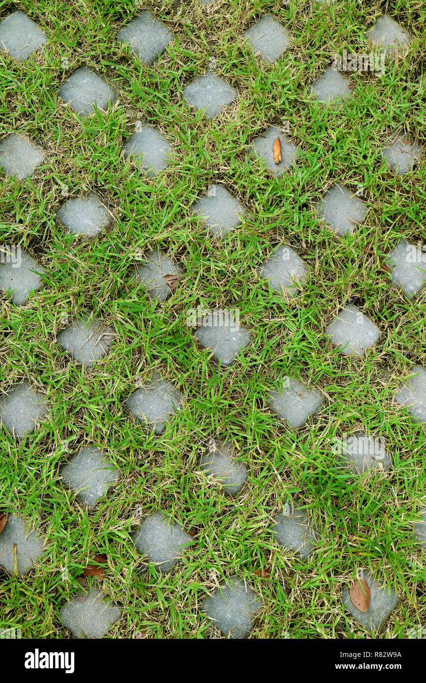Vertical image of turf stone pavers covered with green grass for ...