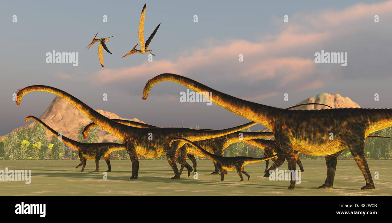 Barosaurus hi-res stock photography and images - Alamy