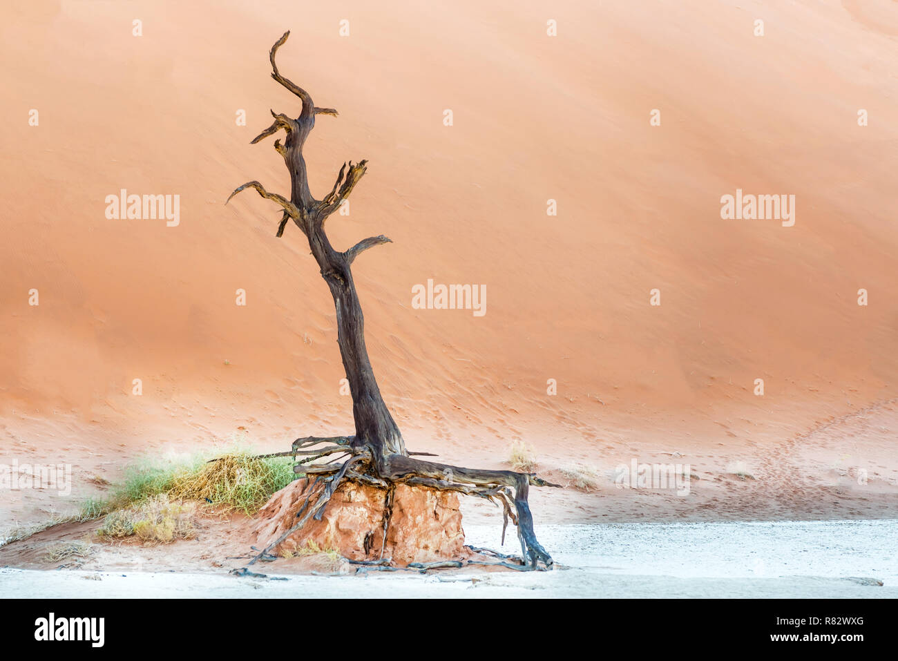 Dead Vlei, or dead marsh, is located near Sossusvlei in the Namib ...