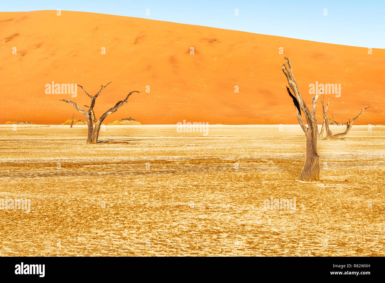 Dead Vlei, or dead marsh, is located near Sossusvlei in the Namib ...