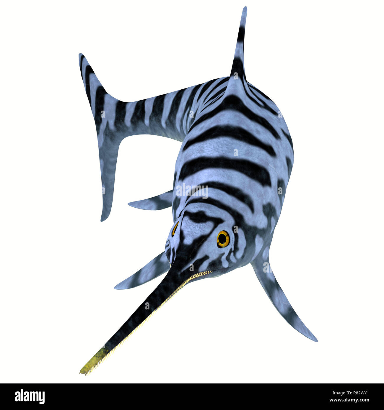 Ichthyosaur eurhinosaurus longirostris hi-res stock photography and ...