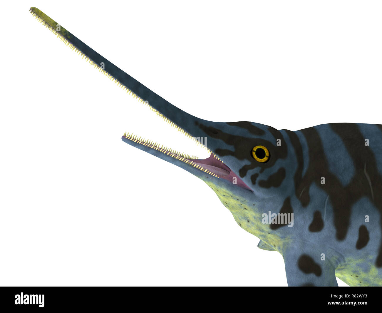 Basic ichthyosaur body hi-res stock photography and images - Alamy