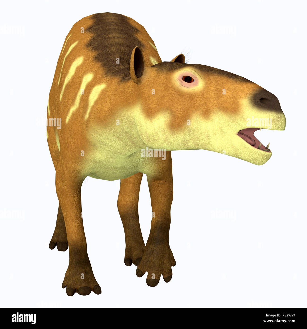 Eocene era hi-res stock photography and images - Alamy