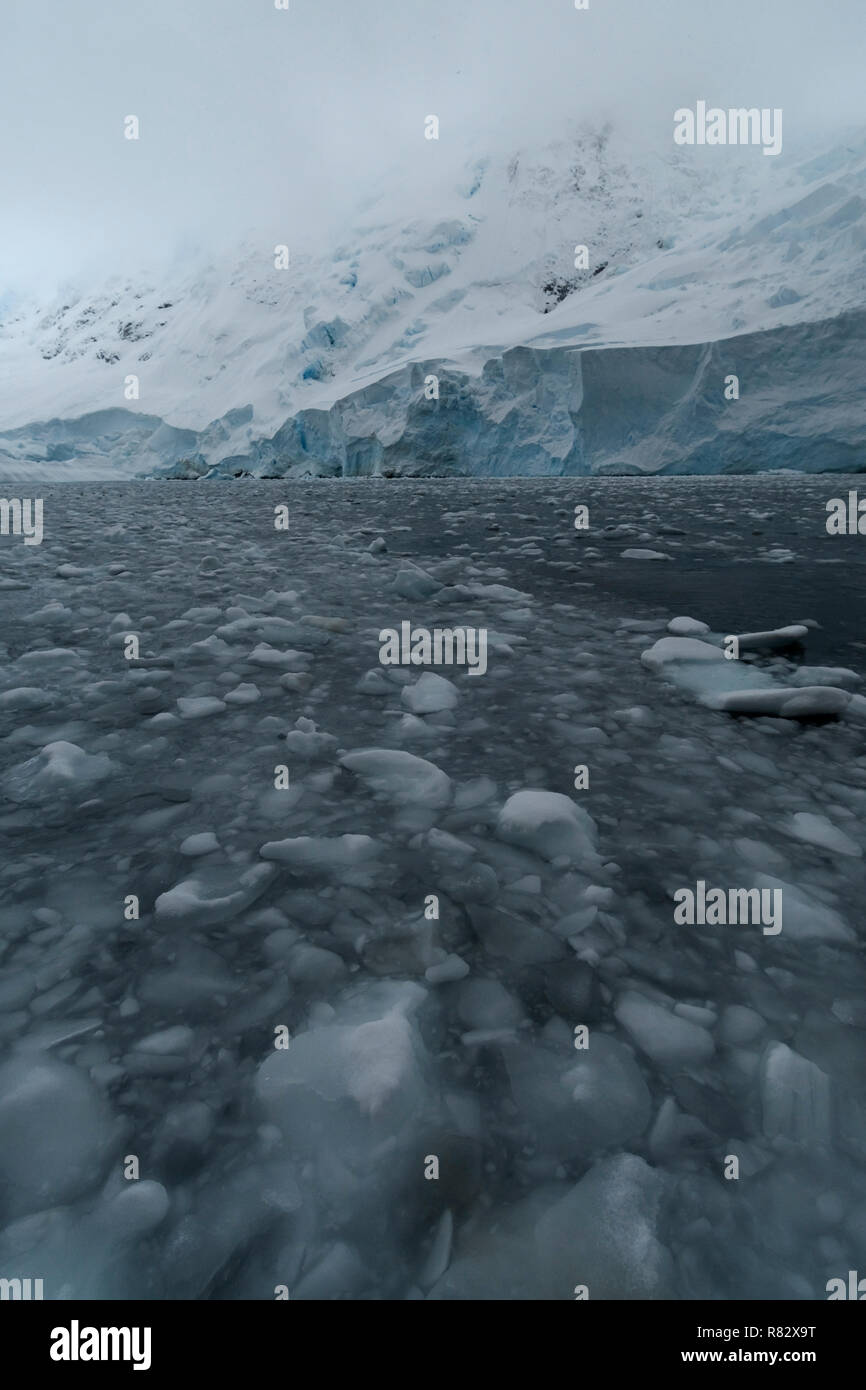ice flow and ice cliffs chrystal sound antarctic peninsula antarctica ...