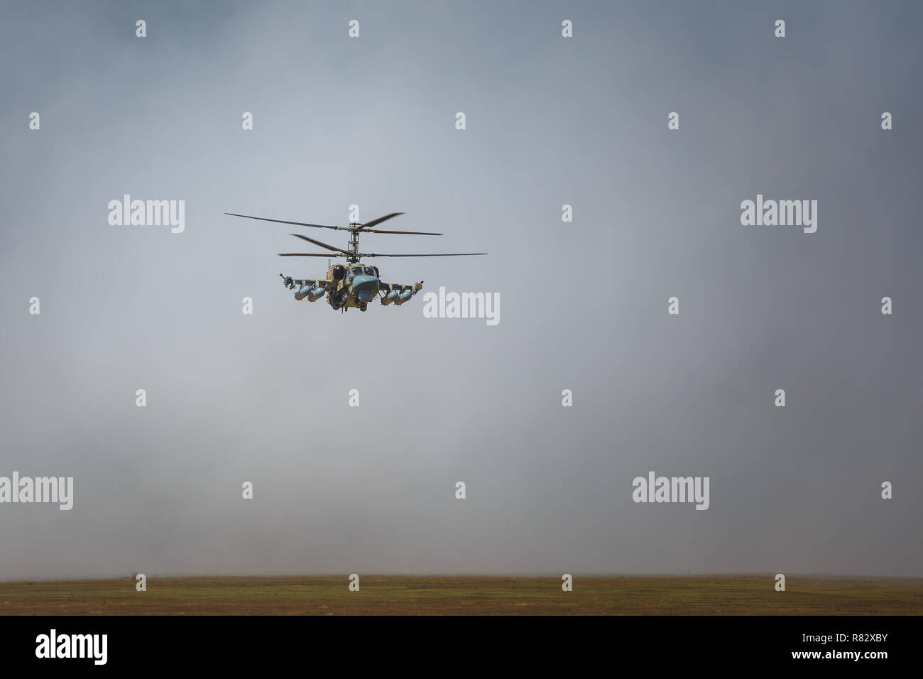 Attack helicopter Ka-52 Alligator, the flying tank, flies above the ...