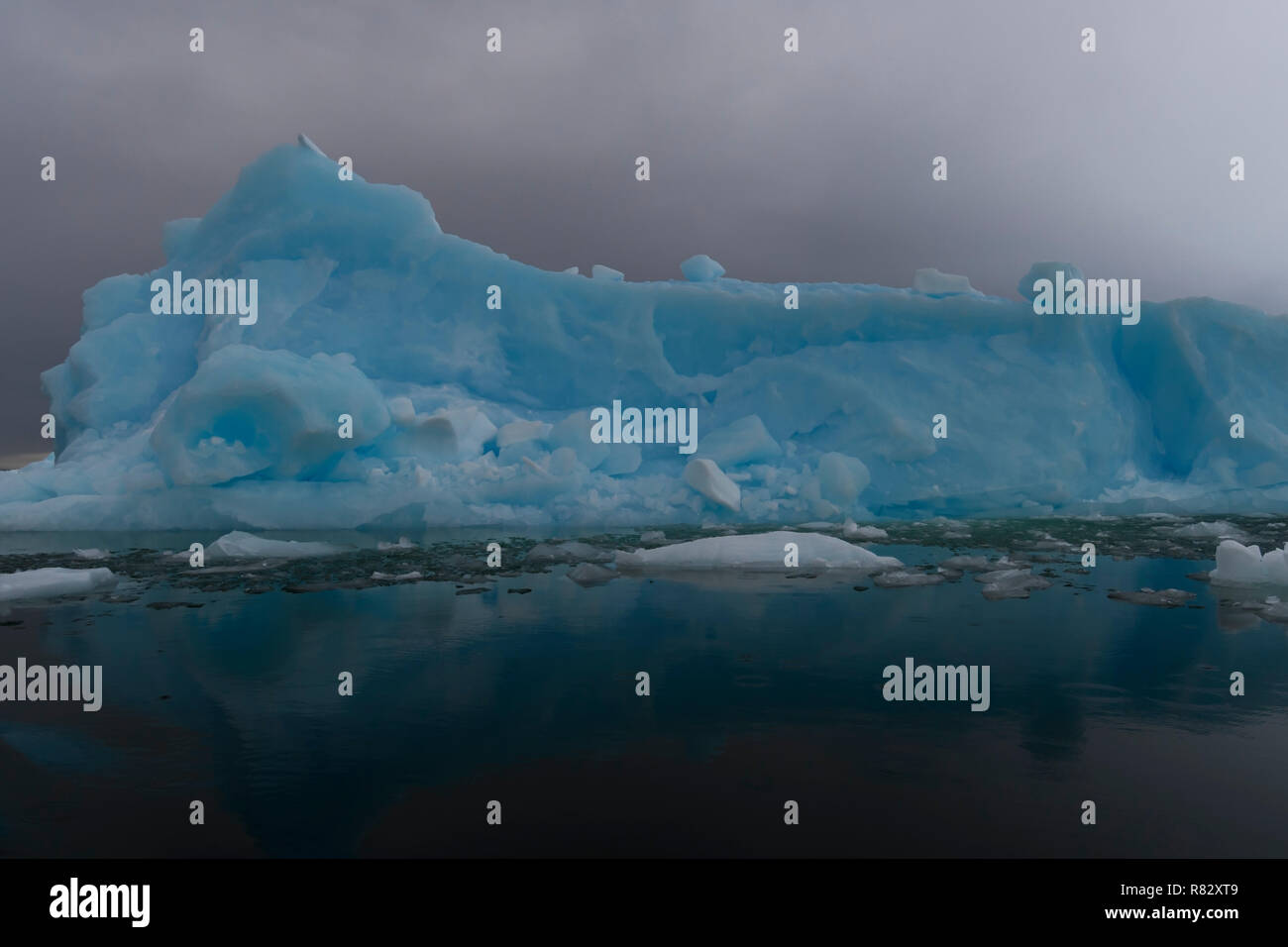 blue coloured iceberg refleced in still water antarctic peninsula ...