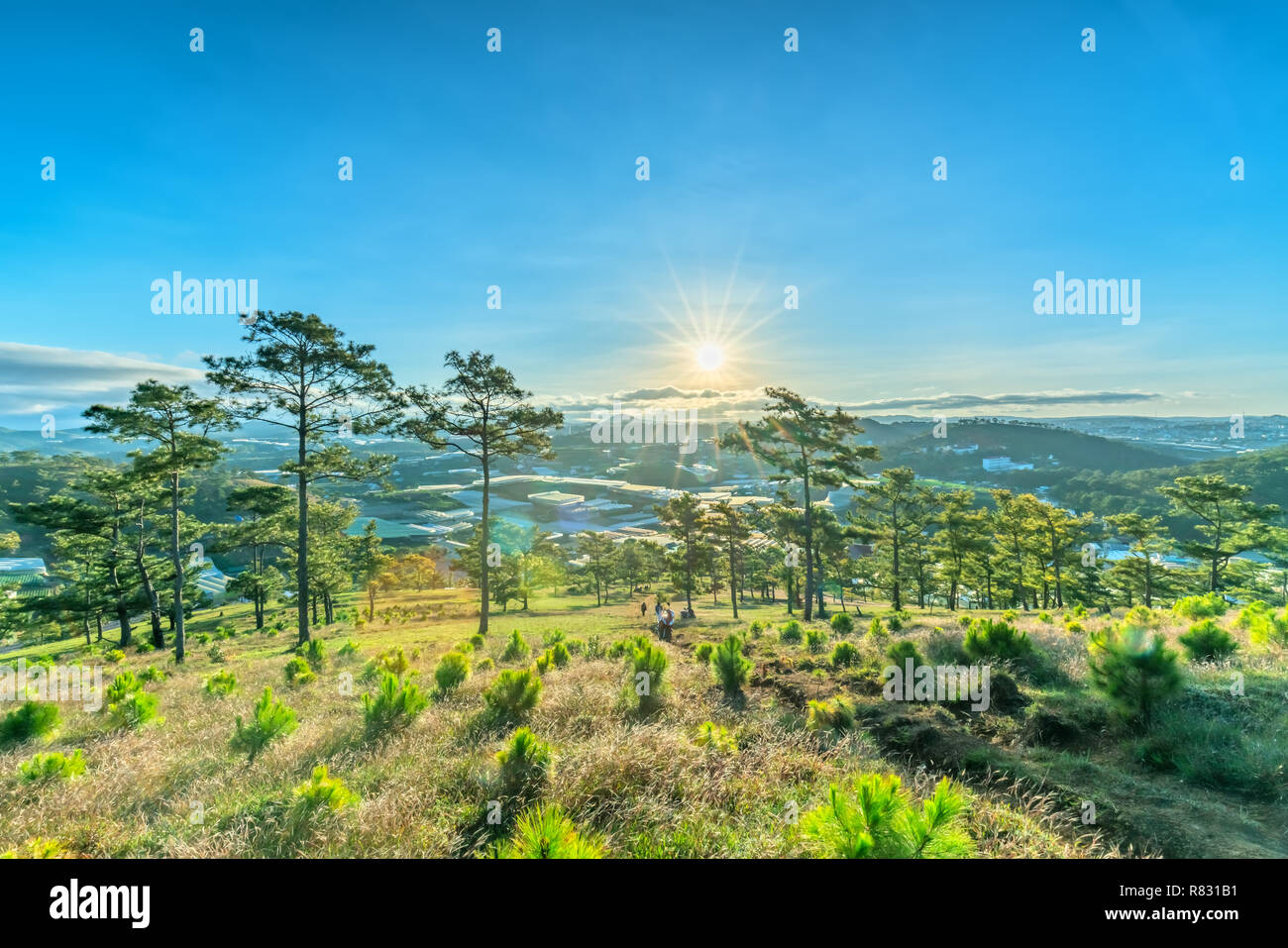 Sunrise on the plateau when the sun woke up to the pine forest below ...
