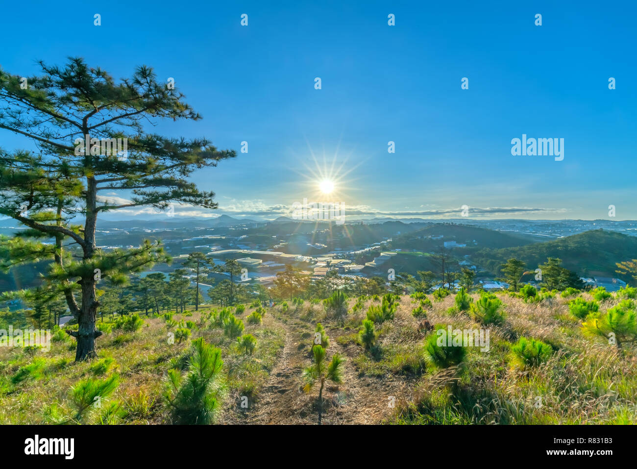 Sunrise on the plateau when the sun woke up to the pine forest below ...