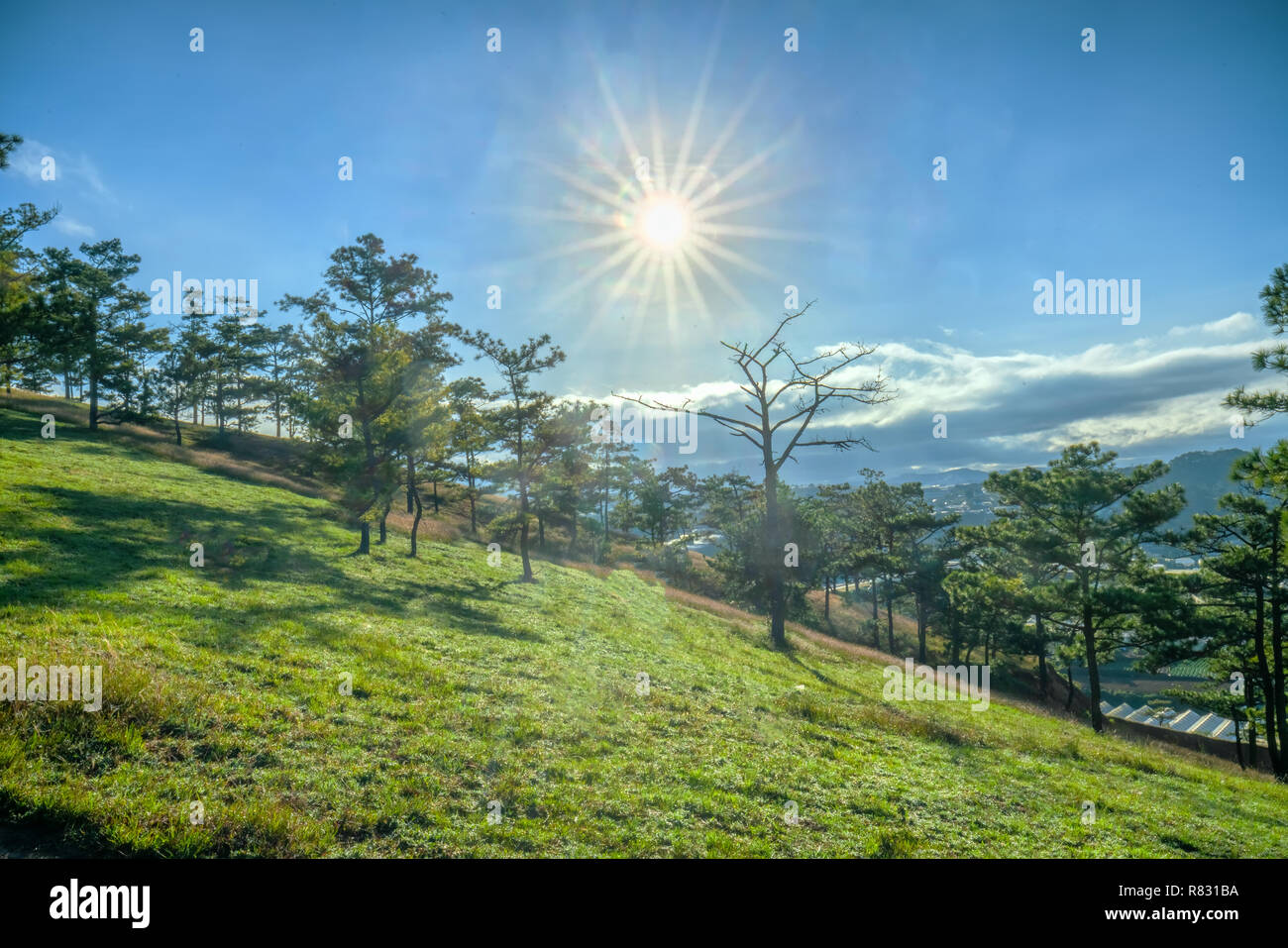 Sunrise on the plateau when the sun woke up to the pine forest below ...