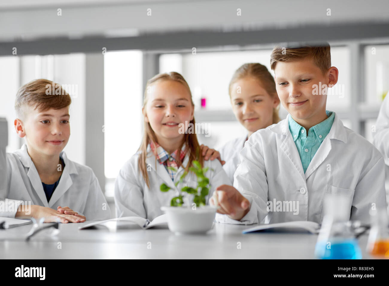 kids or students with plant at biology class Stock Photo - Alamy