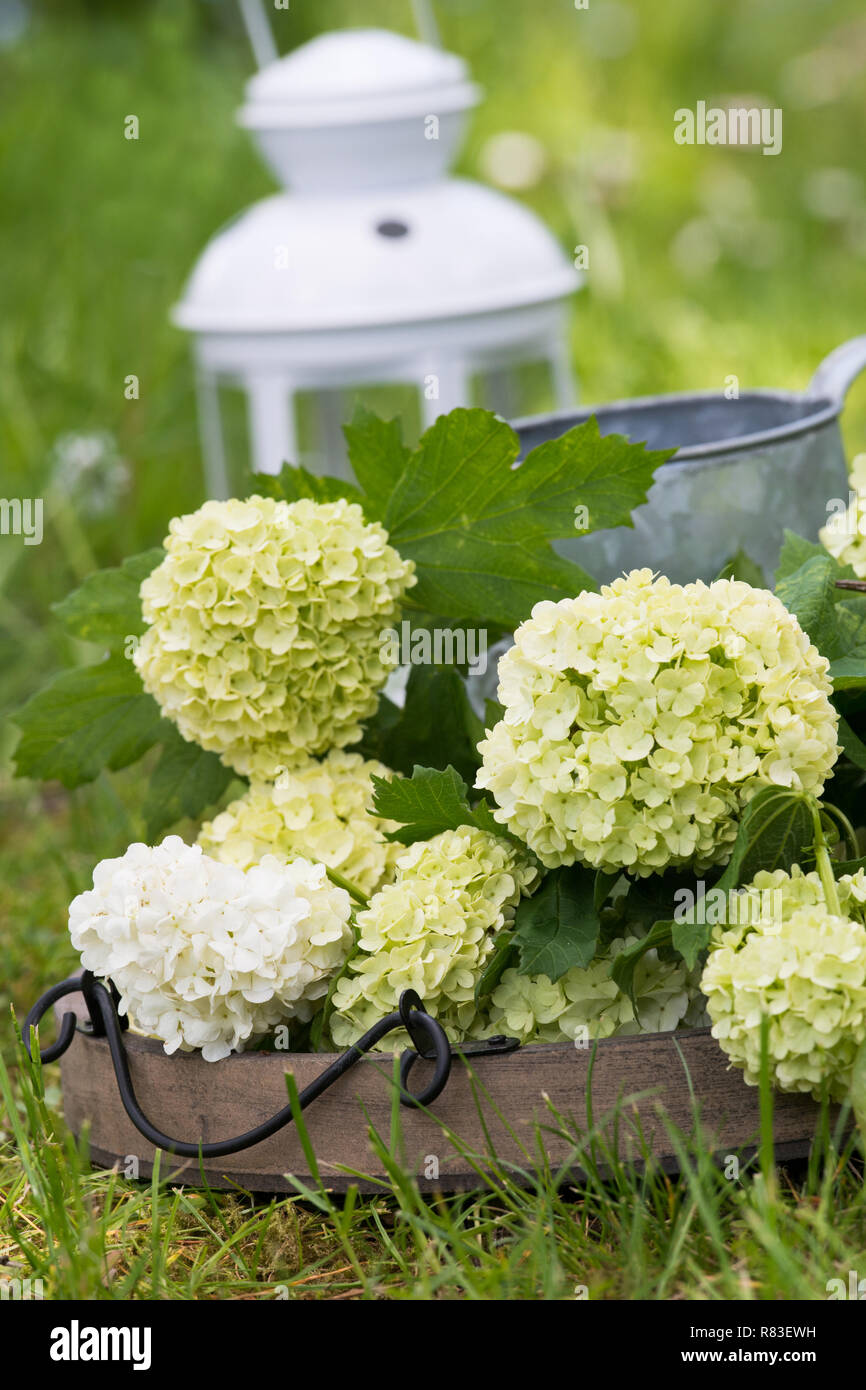 Idyllic garden with flowers and lantern Stock Photo - Alamy