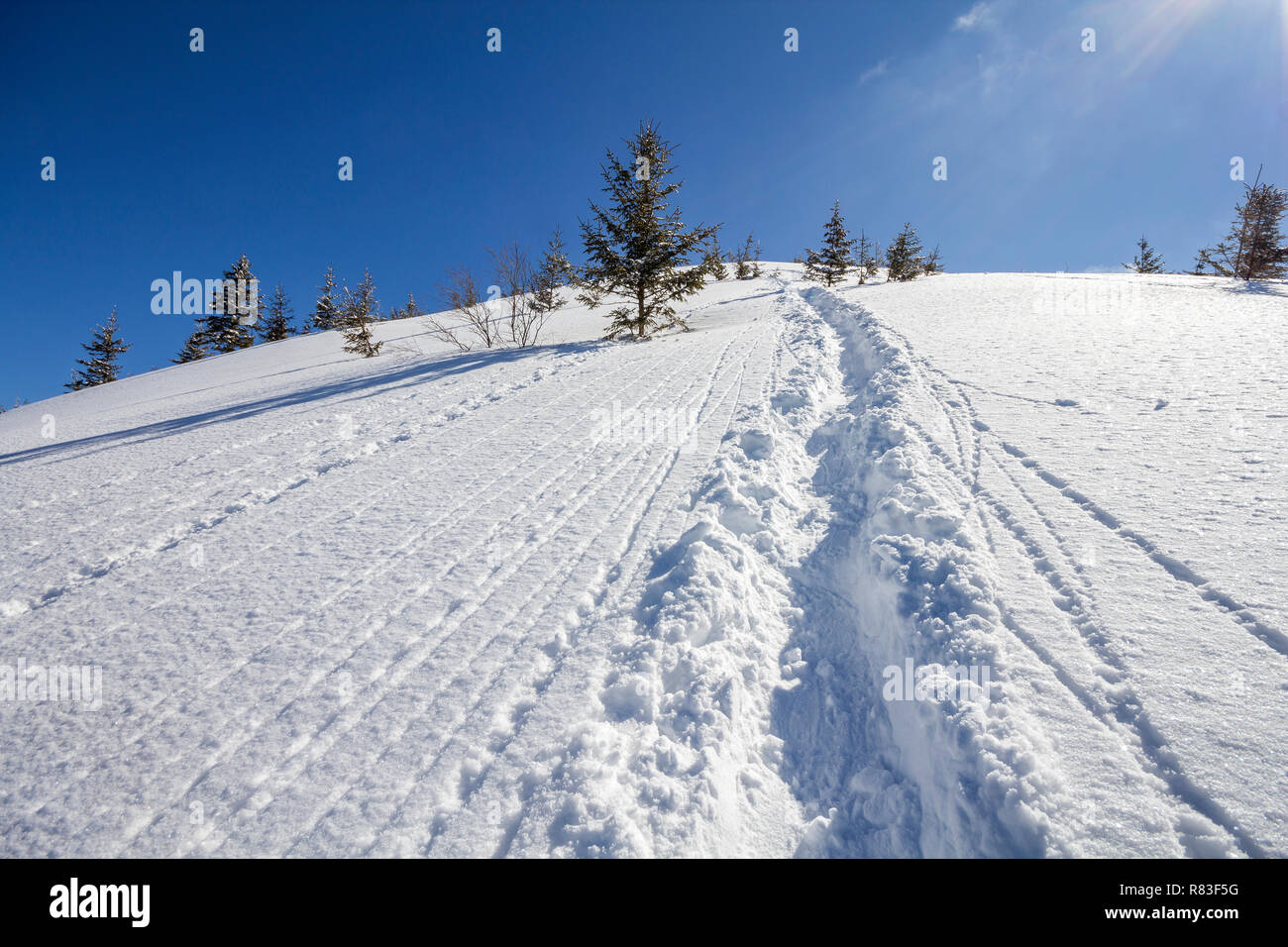 Beautiful winter Christmas landscape. Steep mountain hill slope with ...
