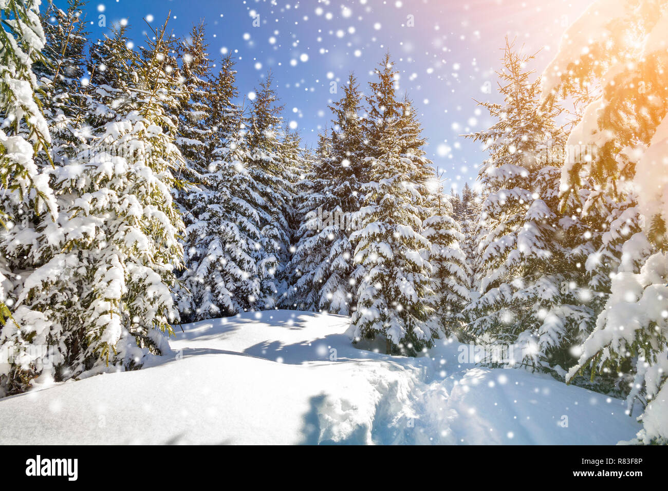 Beautiful Snowflakes Falling