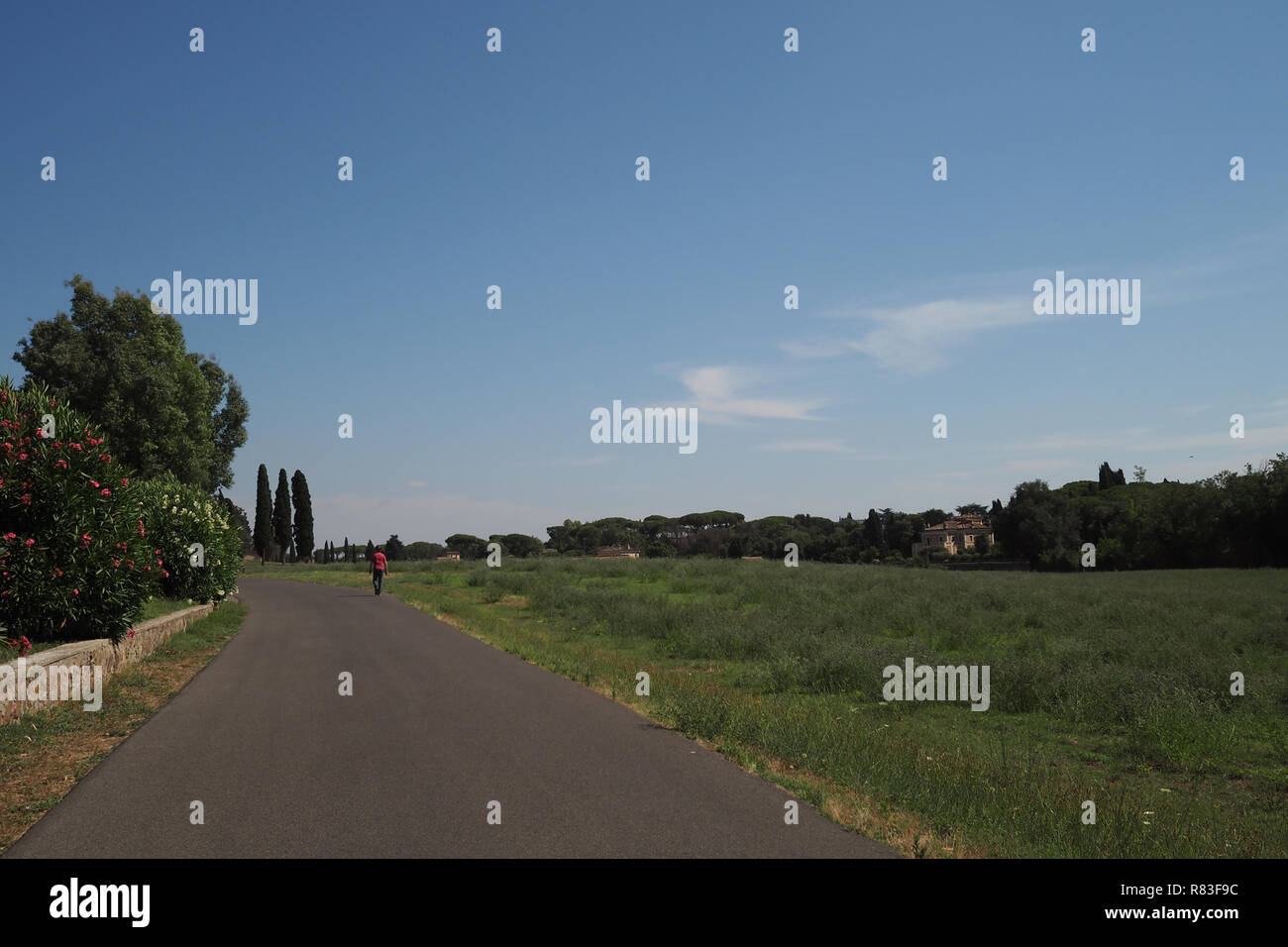 Lone man walking on the Appian Way Stock Photo - Alamy