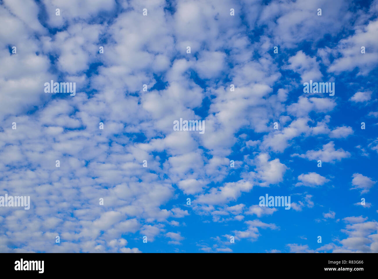 blue sky background with white clouds Stock Photo - Alamy
