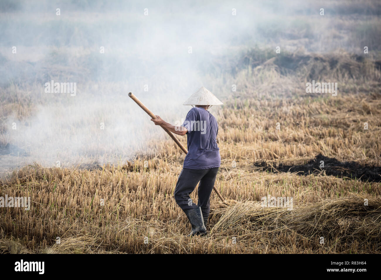 Fire stick farming hi-res stock photography and images - Alamy