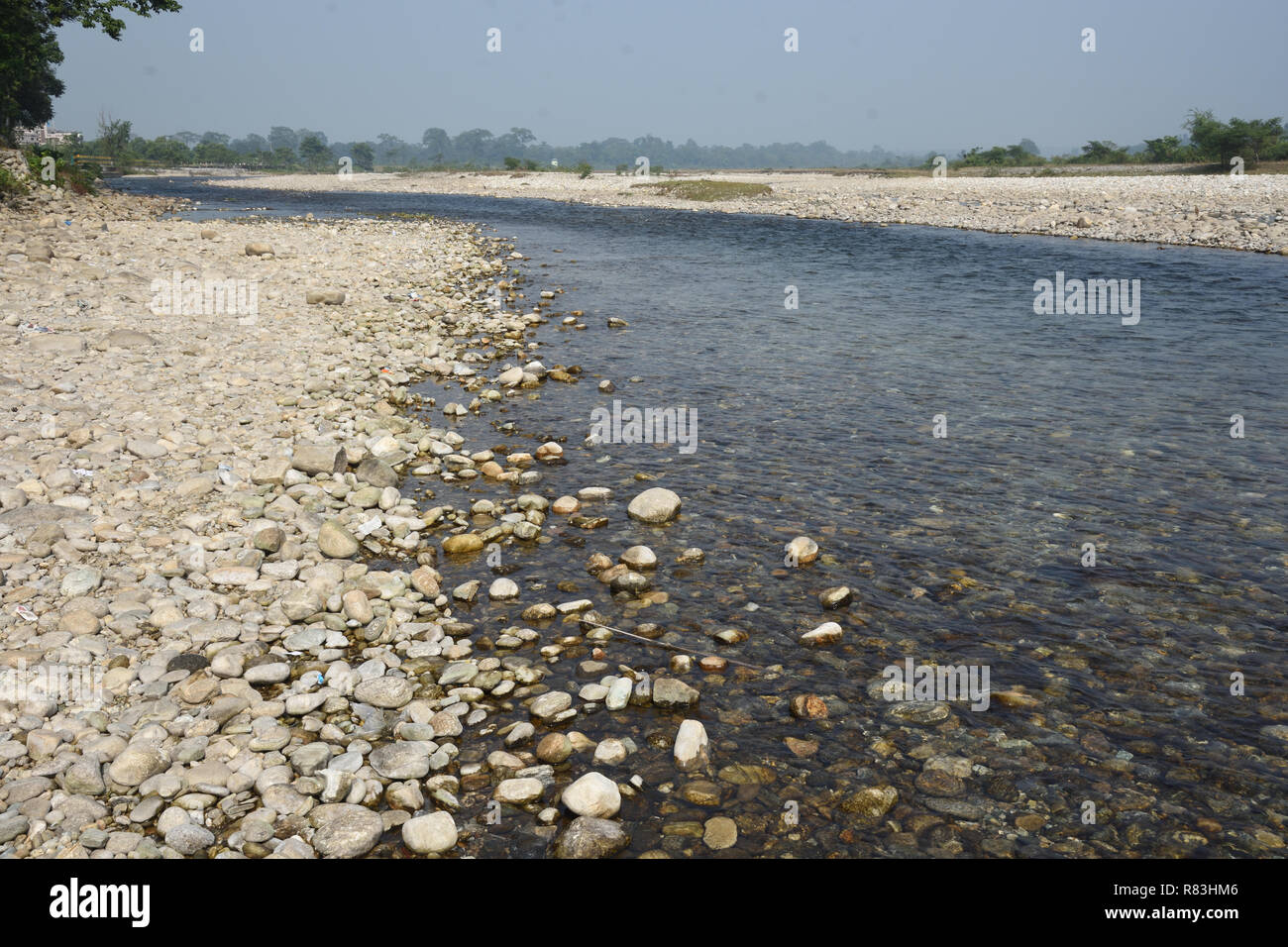 The gorumara national park hi-res stock photography and images - Alamy