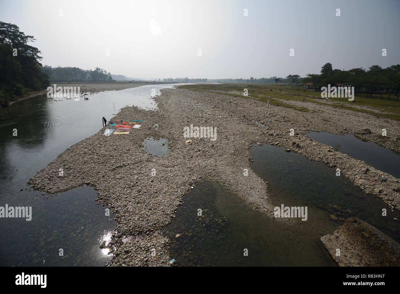 The gorumara national park hi-res stock photography and images - Alamy