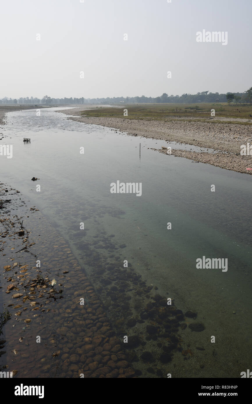 The gorumara national park hi-res stock photography and images - Alamy