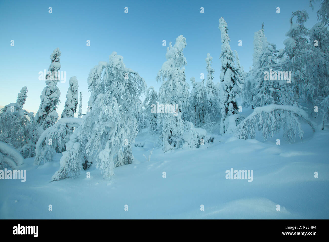 Fairy tale beautiful winter landscape with mountain arctic winter ...