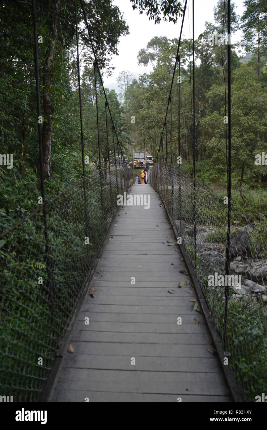 Suntaley Khola hanging bridge at Samsing in Jalpaiguri district of West ...
