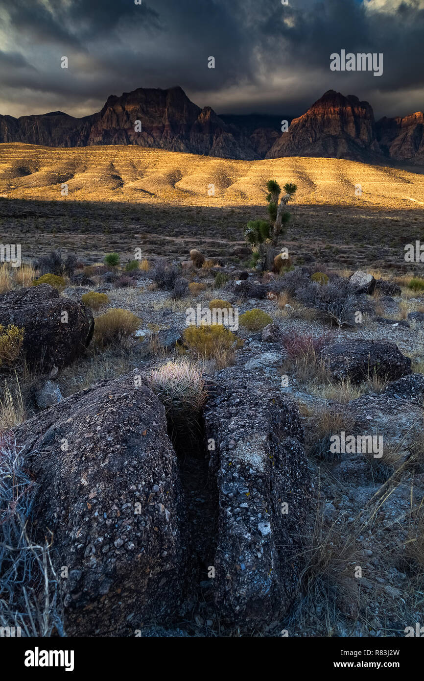 Red Rock Canyon National Conservation Area Stock Photo - Alamy