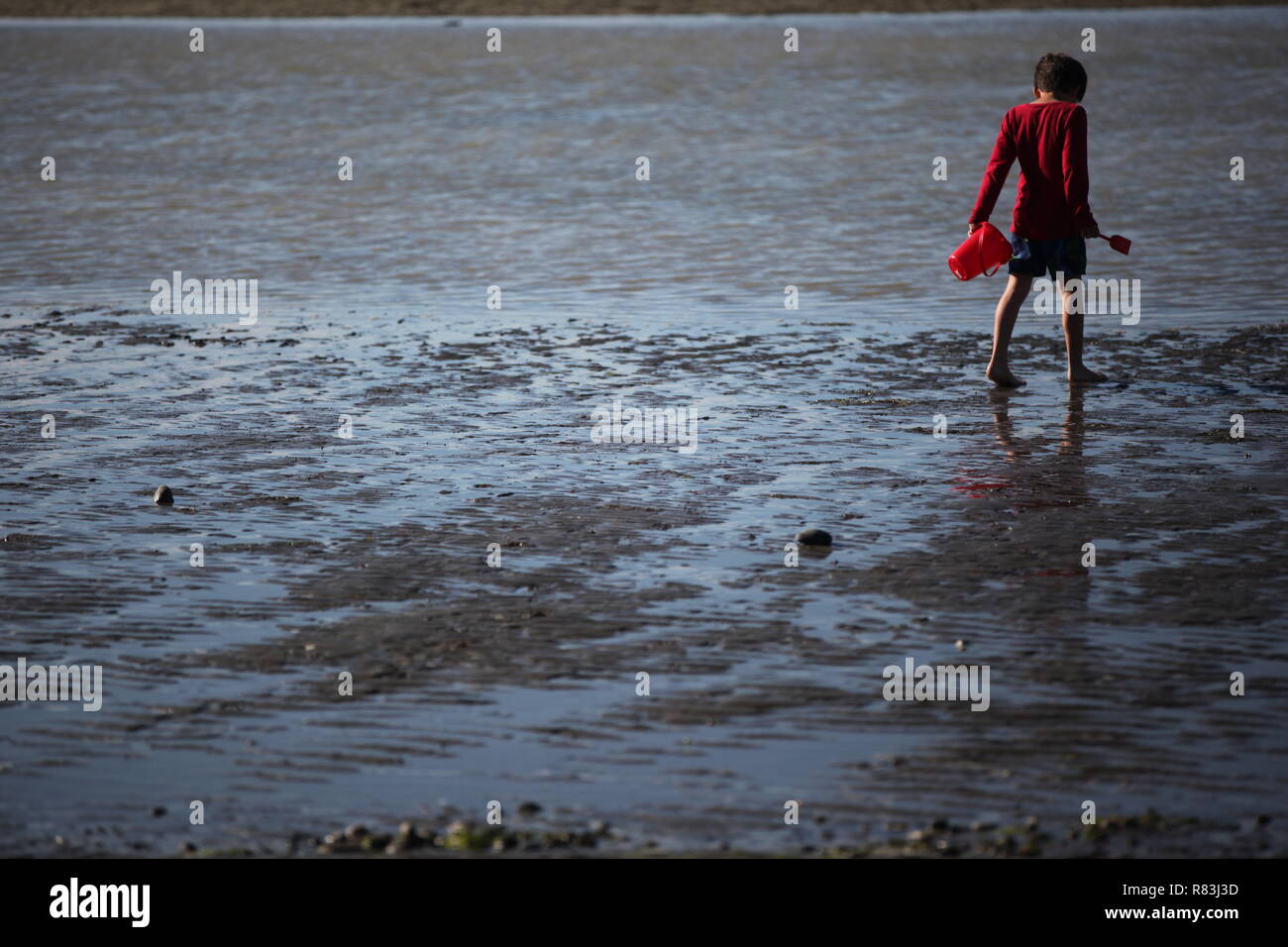 Sandy Beach Tide out with Boy and Pail Stock Photo - Alamy