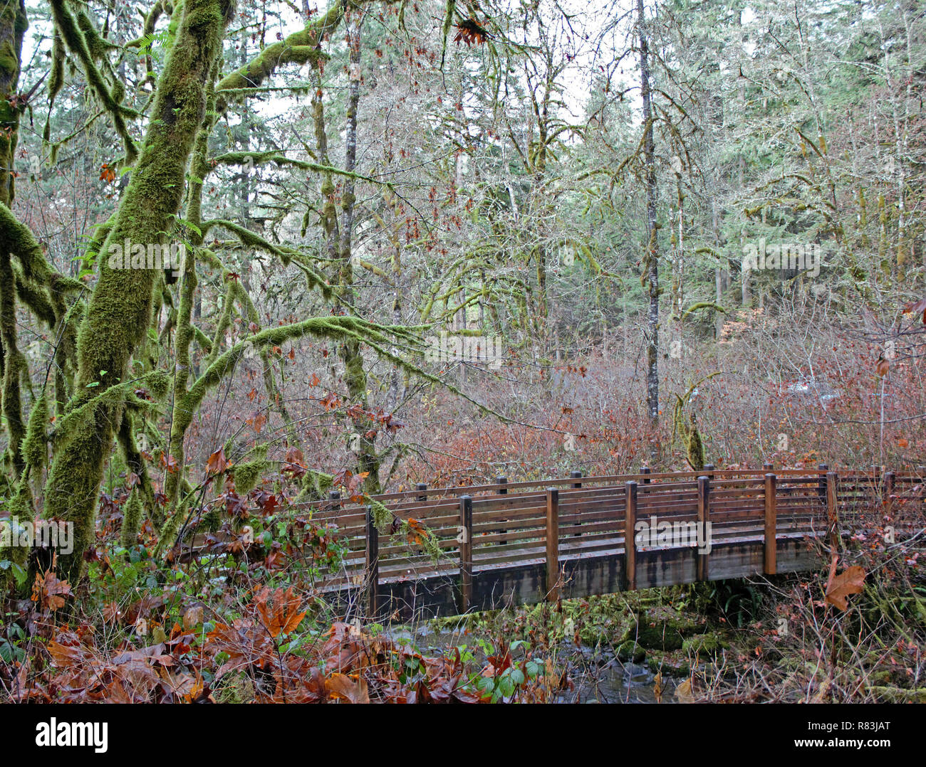 Pedestrian bridges hi-res stock photography and images - Alamy