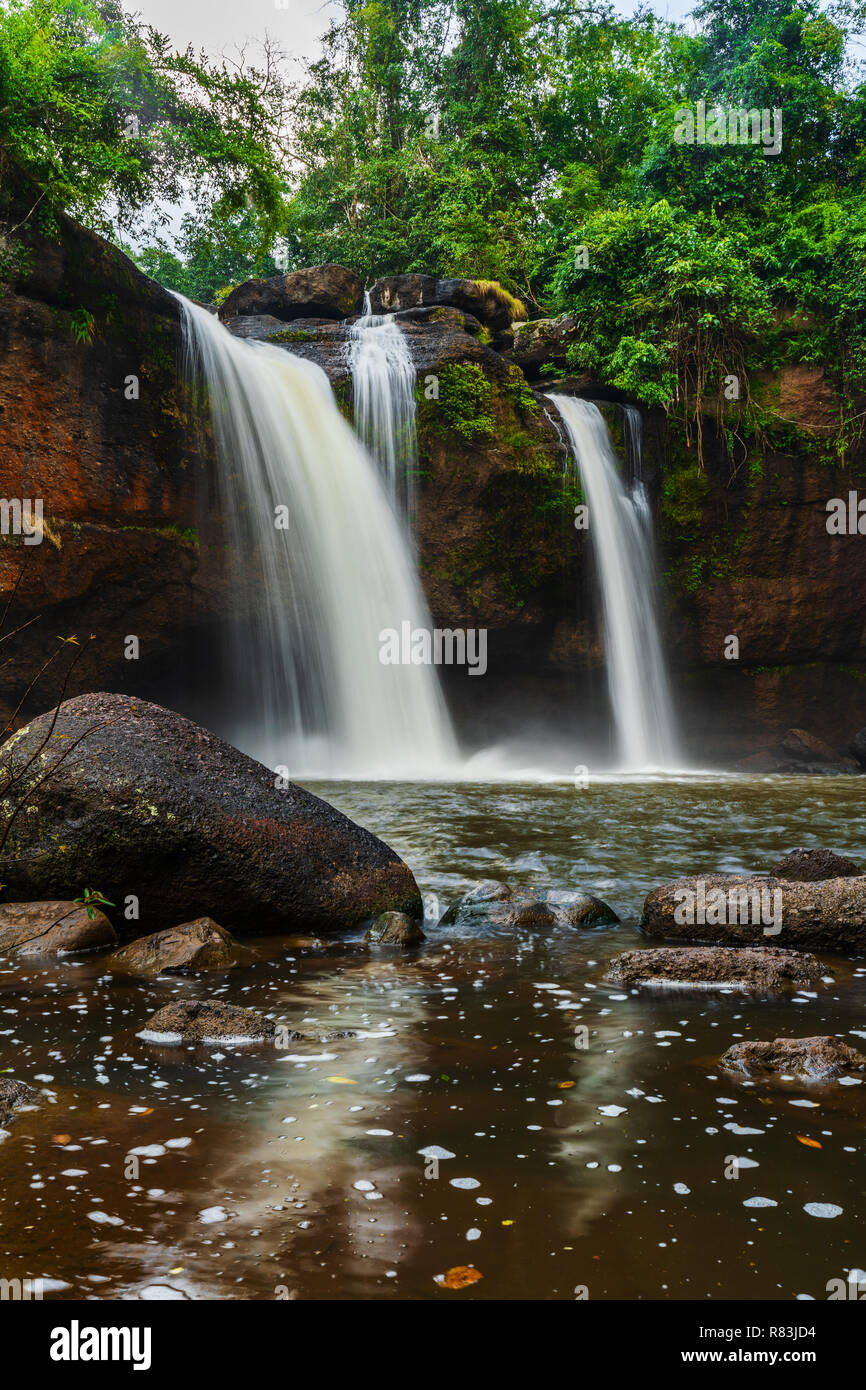 Khao yai rain forest hi-res stock photography and images - Alamy