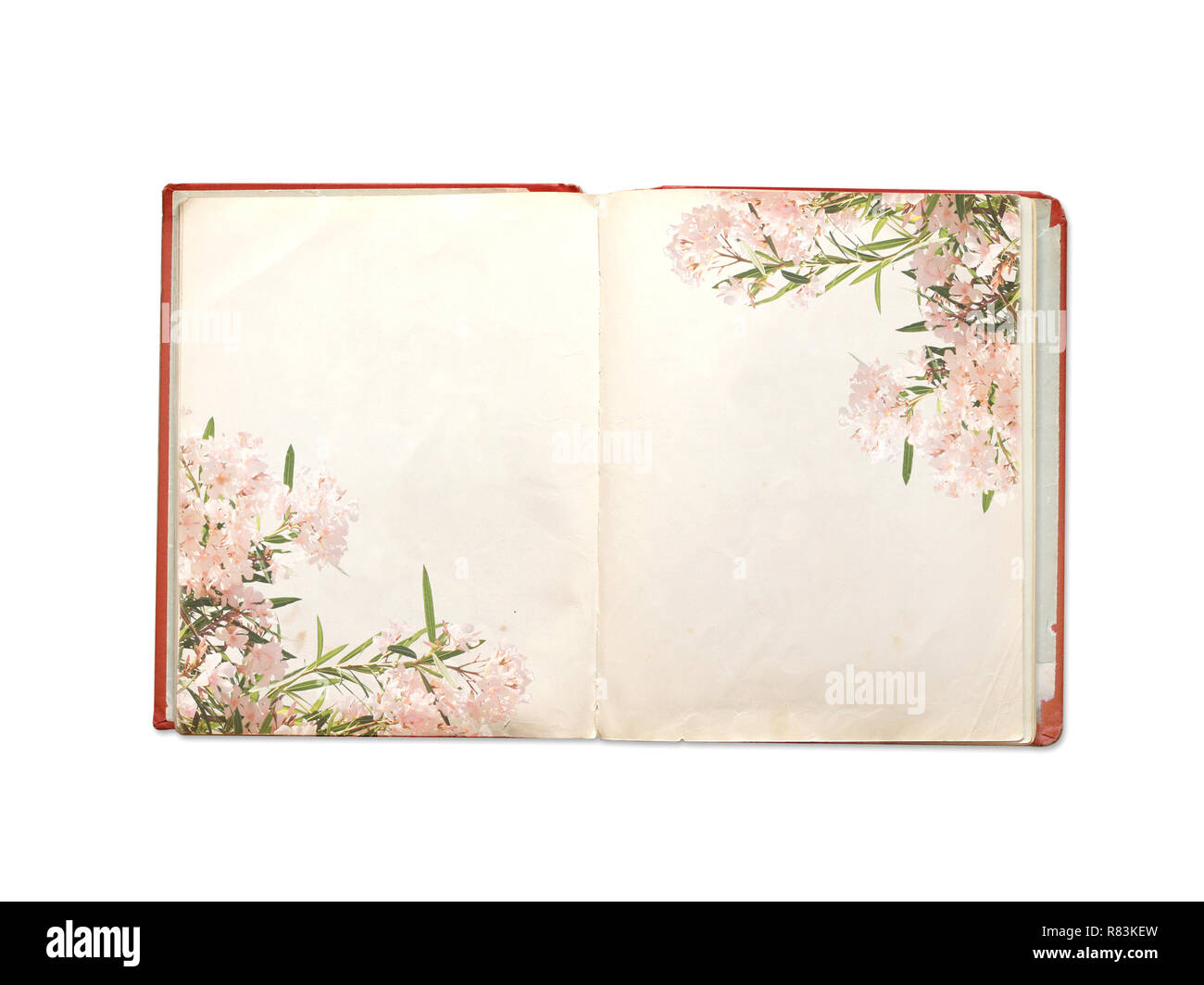 Old book. Objects isolated on white background Stock Photo - Alamy