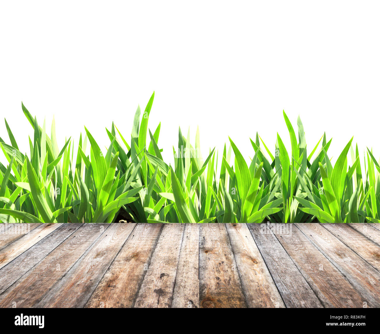 Summer grass and old wooden planks. Isolated on white background Stock ...