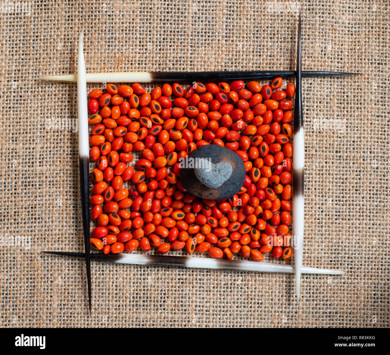 Porcupine seeds and coral tree seeds arranged around a heart shape ...