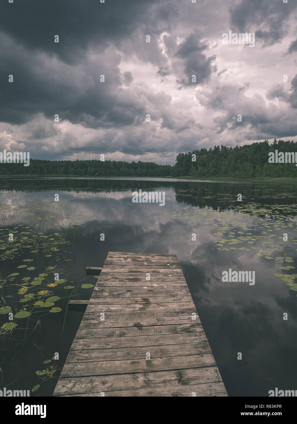 wooden and composite material foot bridge over water in green summer ...